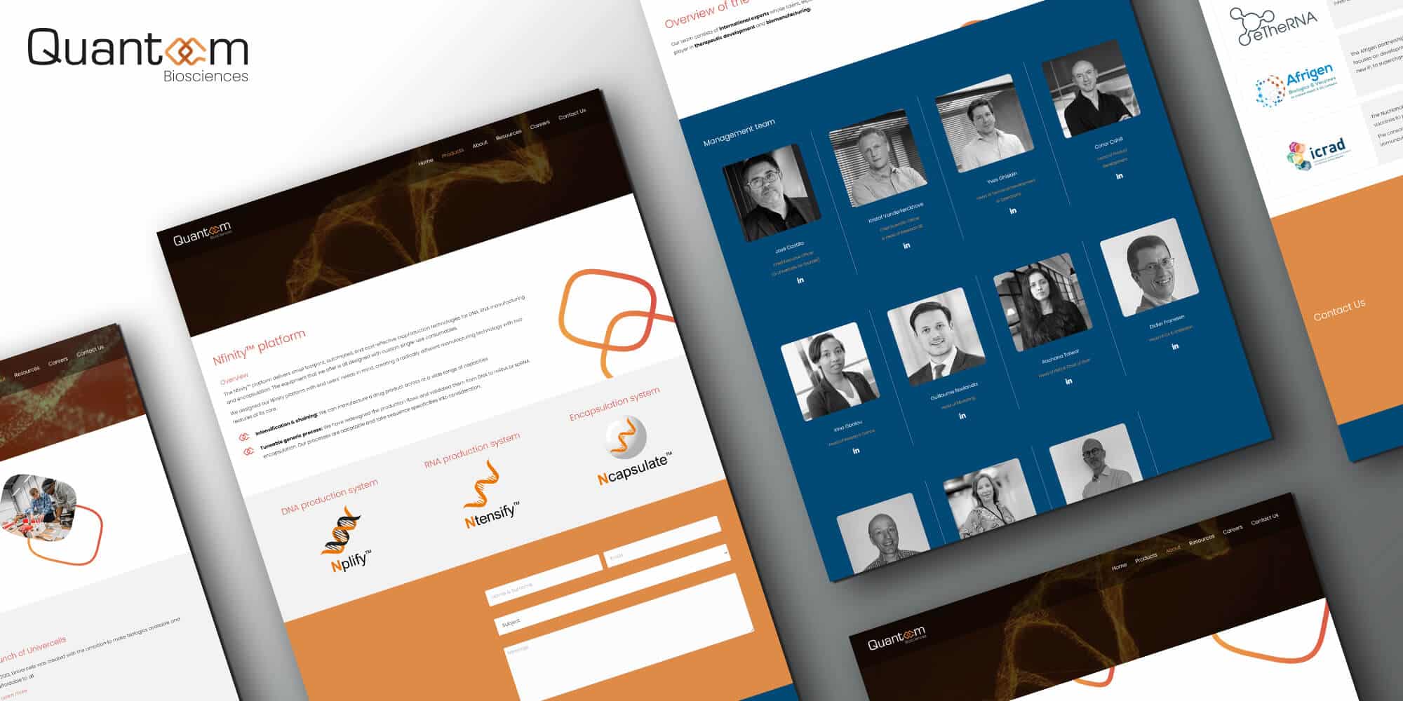 Quantoom - Holly Small Design